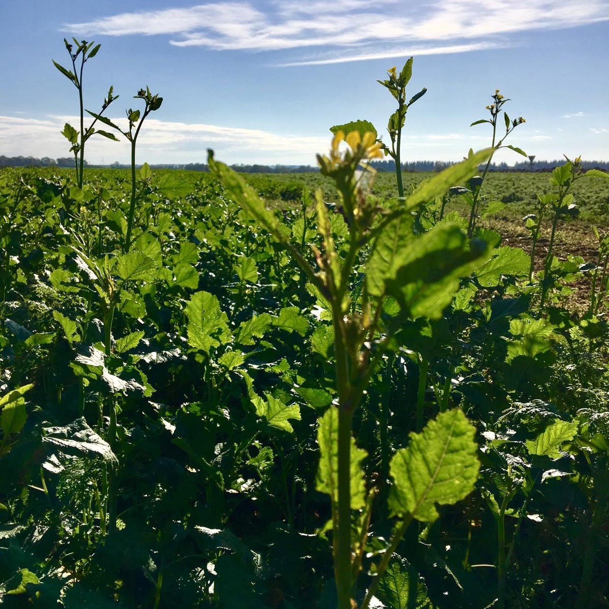 Conférence de presse du 22 novembre 2018 au sein de l’entreprise NÉOLIS ...